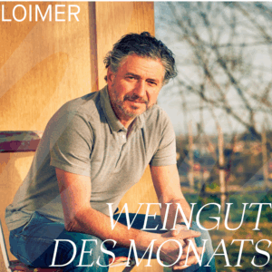 Weingut des Monats im Juli: Loimer | Wein Wagner